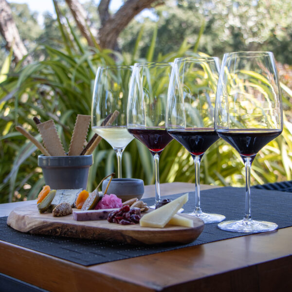 Vineyard Flight - B Cellars Winery